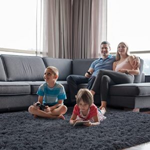 HOMBYS Fluffy Large Area Rug for Living Room 8x10 Feet, 2.4" Plush Indoor Carpets for Bedroom Childern Nursery Teens Room, Super Soft Shaggy Furry Rugs Machine Washable Home Decor