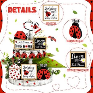 20 Pcs Ladybug Tiered Tray Decorations Spring Summer Ladybug Wooden Blocks Sign Ladybug Table Top Decor Red Farmhouse Ladybird for Home Kitchen Shelf Display Holiday Housewarming