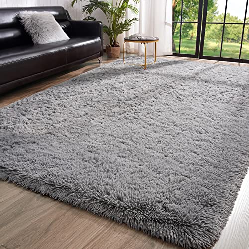 Toneed Ultra Soft Area Rug for Bedroom, 4 x 6 Feet Fluffy Rug Furry Plush Throw Rug Fuzzy Shaggy Indoor Carpet for Living Room Kids Room Nursery Dorm Home Decor, Grey