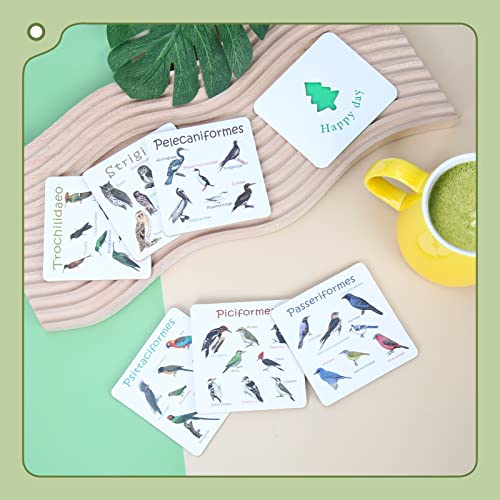 Bird Coasters, 6PCS Bird Coasters with Gift Card, Handmade Coasters for Drinks, Square Wooden Coaster Set for Bird Lovers Friends Home Kitchen Decor Bar Housewarming Gift (Birds)