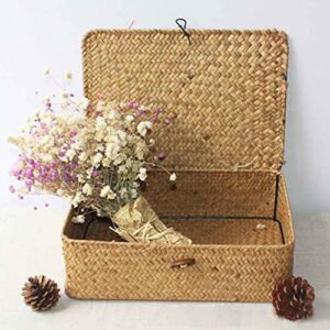 moluo Woven Baskets for Storage - Clothes Hampers for Laundry with Lid - Portable Sea Grass Woven Shelves Holders for Books, Cosmetics, Holiday Containers for Candies, Cookies