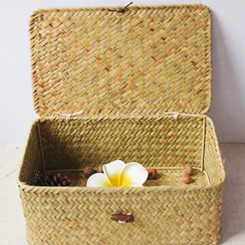 moluo Woven Baskets for Storage - Clothes Hampers for Laundry with Lid - Portable Sea Grass Woven Shelves Holders for Books, Cosmetics, Holiday Containers for Candies, Cookies