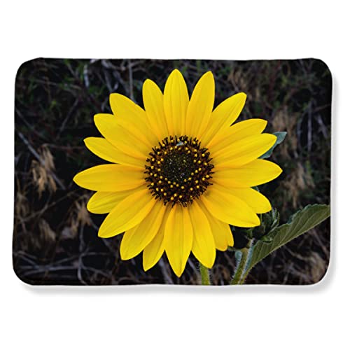 SOFERI Sunflower Rug Children Teen Bedroom Rug Flower Rug Beautiful Living Room Bathroom Kitchen Large Area Rug Non-Slip Floor Mat Sunflower 16 "x24