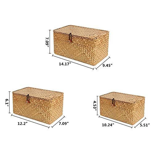 FEILANDUO 5Pcs Wicker Baskets with Lids Seagrass Woven Storage Baskets Boxes for Shelves Organizer Boho Home Decor