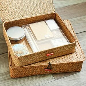 FEILANDUO 5Pcs Wicker Baskets with Lids Seagrass Woven Storage Baskets Boxes for Shelves Organizer Boho Home Decor