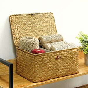 FEILANDUO 5Pcs Wicker Baskets with Lids Seagrass Woven Storage Baskets Boxes for Shelves Organizer Boho Home Decor