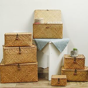 FEILANDUO 5Pcs Wicker Baskets with Lids Seagrass Woven Storage Baskets Boxes for Shelves Organizer Boho Home Decor