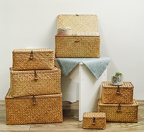 FEILANDUO 5Pcs Wicker Baskets with Lids Seagrass Woven Storage Baskets Boxes for Shelves Organizer Boho Home Decor