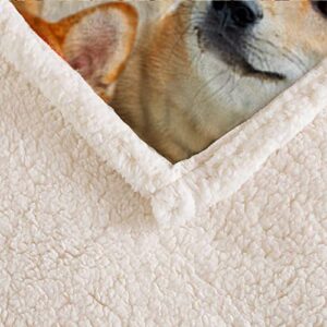 AILONEN Shiba Inu Dog Blanket for Kids Adults, Cute Puppy Plush Blanket Shiba Inu Animal Print, Double Sided Blanket Sherpa Throw Print Flannel Fleece (47 x31 Inches)