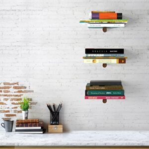 Decorative Invisible Floating Bookshelf with Wooden Rod, Wall Mounted Metal Book Organizer Shelf, for Home, Office, Library, Study, Livingroom, Bedroom, Set of 3 Walnut.