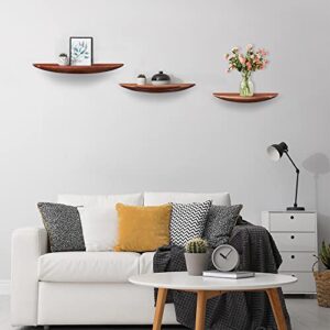 Unique Half Round Wall Floating Shelves Arc Bottom Design, Set of 3, Elegant Display & Organizer Semicircle Wall Shelf Decor w/Invisible Brackets, Rustic Wood Shelf Decorate Plant Books Small Artwork