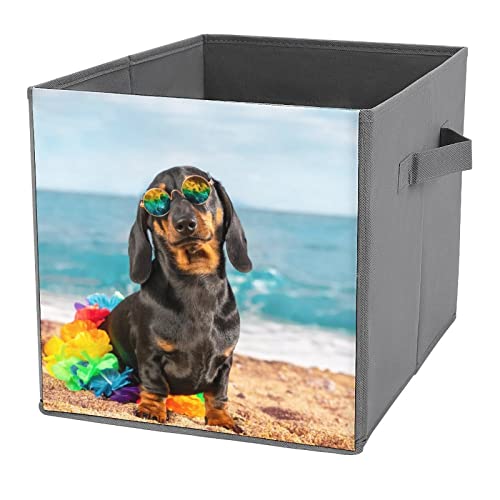 DamTma Funny Dachshund Puppy Collapsible Storage Cubes Dog Sits on Beach Summer Sea 10.6 Inch Fabric Storage Bins Storage Cubes with Handles Basket Storage Organizer for Clothes Pet Toys