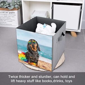 DamTma Funny Dachshund Puppy Collapsible Storage Cubes Dog Sits on Beach Summer Sea 10.6 Inch Fabric Storage Bins Storage Cubes with Handles Basket Storage Organizer for Clothes Pet Toys