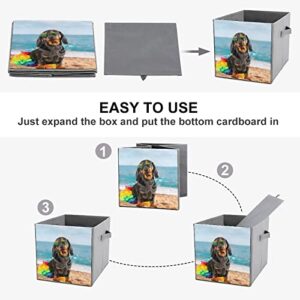 DamTma Funny Dachshund Puppy Collapsible Storage Cubes Dog Sits on Beach Summer Sea 10.6 Inch Fabric Storage Bins Storage Cubes with Handles Basket Storage Organizer for Clothes Pet Toys