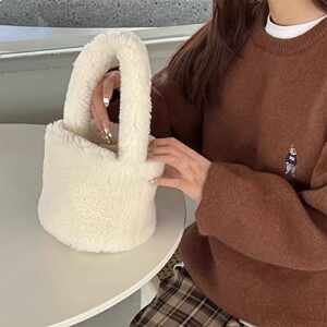 Women Fuzzy Bag Sherpa Purse Faux Fur Handbag Furry Fluffy Plush Hand Bags Cute Small Totes Winter Fashion Purses (Brown)