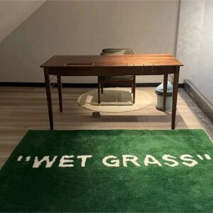 Carpet Wet Grass Rug Carpet Living Room Decoration Carpet Bedroom Bedside Bay Window Area Rugs Sofa Floor Mat Rugs (23.62 in x 35.43 in)