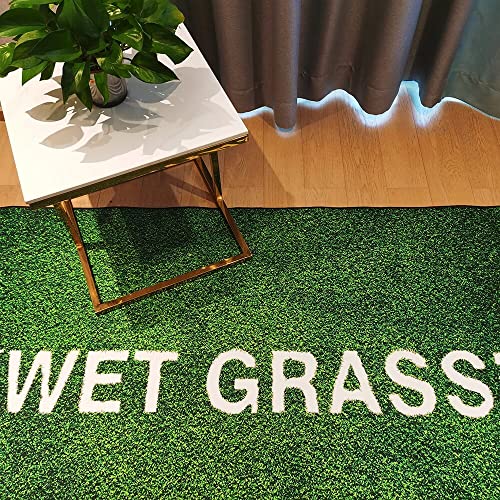 Carpet Wet Grass Rug Carpet Living Room Decoration Carpet Bedroom Bedside Bay Window Area Rugs Sofa Floor Mat Rugs (23.62 in x 35.43 in)