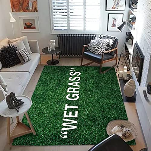 Carpet Wet Grass Rug Carpet Living Room Decoration Carpet Bedroom Bedside Bay Window Area Rugs Sofa Floor Mat Rugs (23.62 in x 35.43 in)