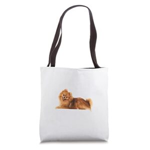 cute pomeranian tote bag