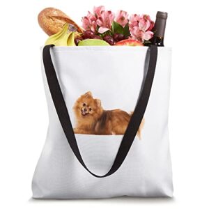 Cute Pomeranian Tote Bag