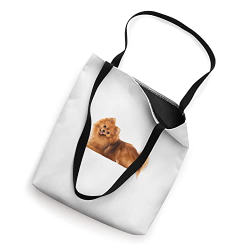 Cute Pomeranian Tote Bag