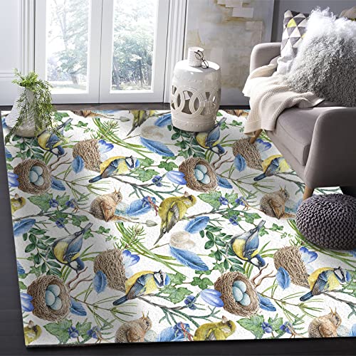 Leaves Birds Area Rug 3'x5',Blue Green Branch Plant Fruit Feather Egg Outdoor Indoor Small Carpet Runner for Kids Teen Girls Boys Bedroom,Living Room,Bathroom,Office,Kitchen,Washable Area+Rug