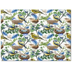 Leaves Birds Area Rug 3'x5',Blue Green Branch Plant Fruit Feather Egg Outdoor Indoor Small Carpet Runner for Kids Teen Girls Boys Bedroom,Living Room,Bathroom,Office,Kitchen,Washable Area+Rug