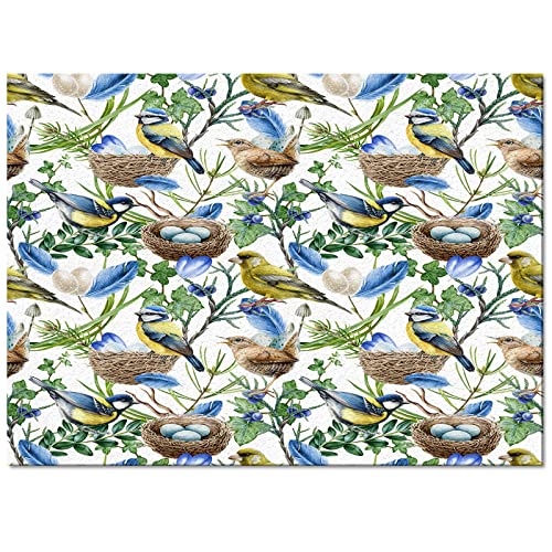 Leaves Birds Area Rug 3'x5',Blue Green Branch Plant Fruit Feather Egg Outdoor Indoor Small Carpet Runner for Kids Teen Girls Boys Bedroom,Living Room,Bathroom,Office,Kitchen,Washable Area+Rug