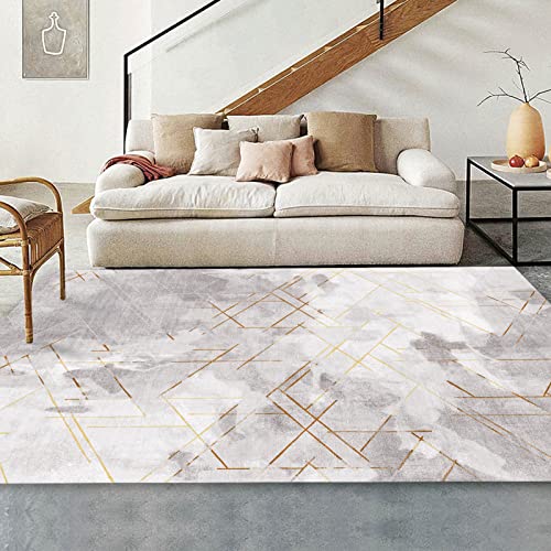 FINOREN Abstract Gold Line Area Rugs for Living Room,Bedroom,Hallway,Dining Room,Non-Shedding,Non Slip Backing,Floor Decoration Carpets,Gray-White,5'x7'