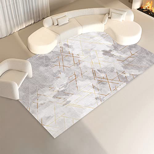 FINOREN Abstract Gold Line Area Rugs for Living Room,Bedroom,Hallway,Dining Room,Non-Shedding,Non Slip Backing,Floor Decoration Carpets,Gray-White,5'x7'