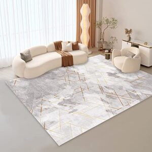 FINOREN Abstract Gold Line Area Rugs for Living Room,Bedroom,Hallway,Dining Room,Non-Shedding,Non Slip Backing,Floor Decoration Carpets,Gray-White,5'x7'