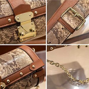 Qiayime Women Vintage Crossbody Shoulder Bag Ladies PU Leather Round Purse Handbag Satchel Snake Printed Chain Clutch (Brown)