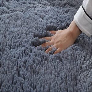 Non Slip Carpet, Super Soft Dining Room Family Bedroom Carpet Floor, Easy To Clean, Children's Game Carpet (60x120cm)