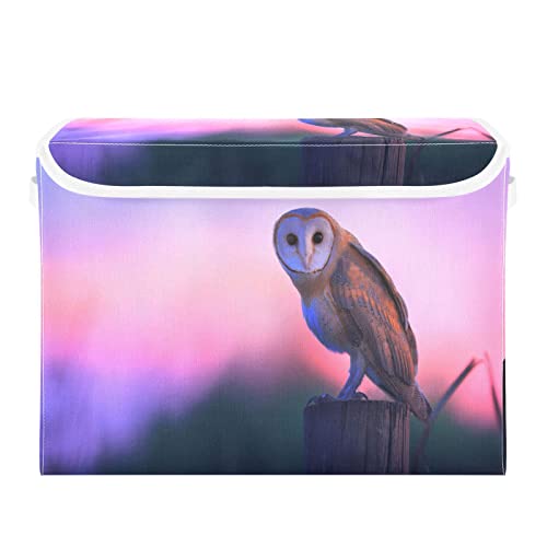 Kigai Storage Basket Cute Owl Storage Boxes with Lids and Handle, Large Storage Cube Bin Collapsible for Shelves Closet Bedroom Living Room, 16.5x12.6x11.8 In