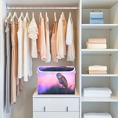 Kigai Storage Basket Cute Owl Storage Boxes with Lids and Handle, Large Storage Cube Bin Collapsible for Shelves Closet Bedroom Living Room, 16.5x12.6x11.8 In