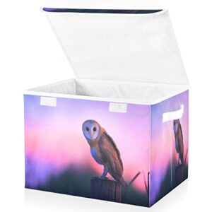 Kigai Storage Basket Cute Owl Storage Boxes with Lids and Handle, Large Storage Cube Bin Collapsible for Shelves Closet Bedroom Living Room, 16.5x12.6x11.8 In