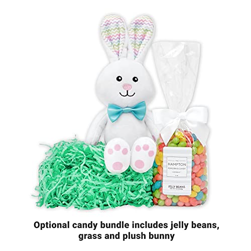 Let's Make Memories Personalized Fluffy Bunny Plush Kid's Easter Basket - Blue