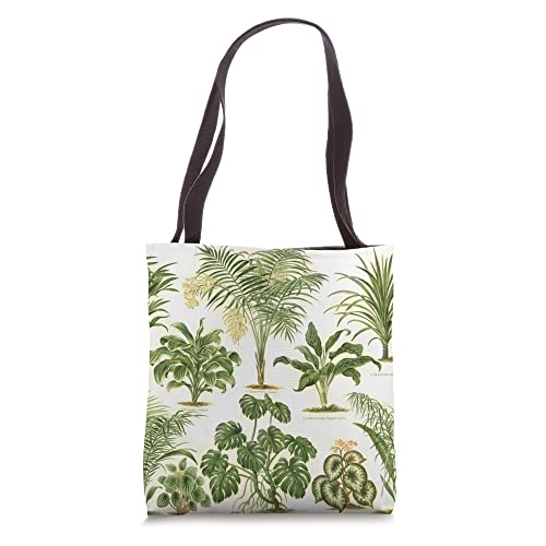 Monstera Succulent Plant Palm Tree Botanical Illustration Tote Bag