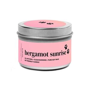 mini pet friendly mini candle | pet safe candle | all natural candle | non-toxic candle | pet odor eliminator | pure soy candle | dog & cat safe candle | 2 oz (bergamot sunrise)