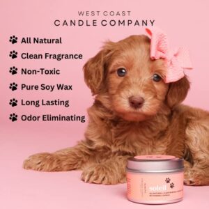 Mini Pet Friendly Mini Candle | Pet Safe Candle | All Natural Candle | Non-Toxic Candle | Pet Odor Eliminator | Pure Soy Candle | Dog & Cat Safe Candle | 2 oz (Bergamot Sunrise)