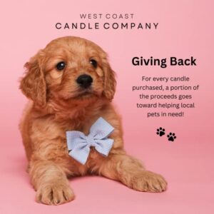 Mini Pet Friendly Mini Candle | Pet Safe Candle | All Natural Candle | Non-Toxic Candle | Pet Odor Eliminator | Pure Soy Candle | Dog & Cat Safe Candle | 2 oz (Bergamot Sunrise)