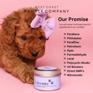 Mini Pet Friendly Mini Candle | Pet Safe Candle | All Natural Candle | Non-Toxic Candle | Pet Odor Eliminator | Pure Soy Candle | Dog & Cat Safe Candle | 2 oz (Bergamot Sunrise)