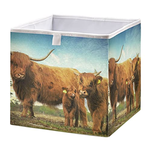 Kigai Storage Basket Highland Cow Foldable Storage Bin 11 X 11 X 11 Inches Cube Storage Baskets Box for Shelves Closet Laundry Nursery Bedroom Home Decor