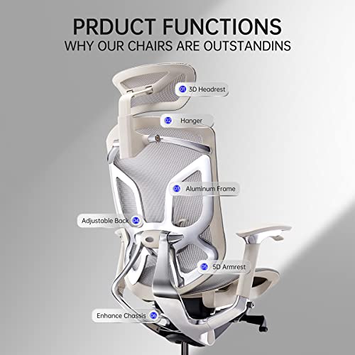 ERGOUP Ergonomic Office Chair Computer Desk Chiar Mesh High Back Desk Chair, Mesh Computer Chair with Adjustable Lumbar Support, Rocking Executive Swivel Chair for Home