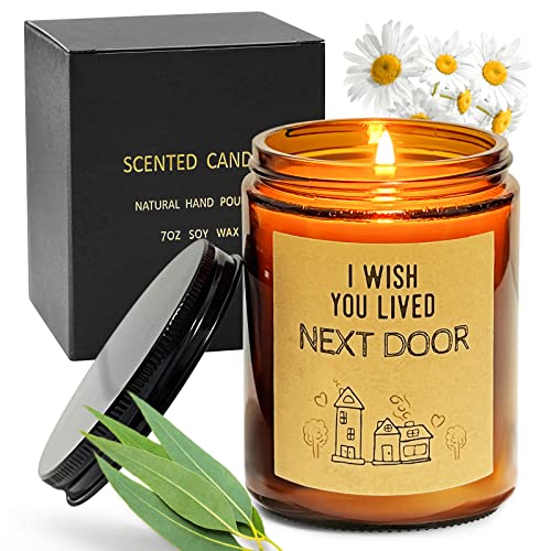 Home Scented Candles, Jar Single Wick Candle, Chamomile and Eucalyptus Aromatherapy Candles, Naturally Scented Soy Candles for Cleansing House Yoga Chakra Healing, Over 45 Hours of Burn Time