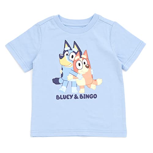 Bluey Bingo Toddler Boys T-Shirt and Shorts Outfit Set 4T