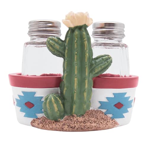 Salt and Pepper Set Holder with a Cactus Pot Design, Southwestern Décor, Shakers Included, 4.5 Inches