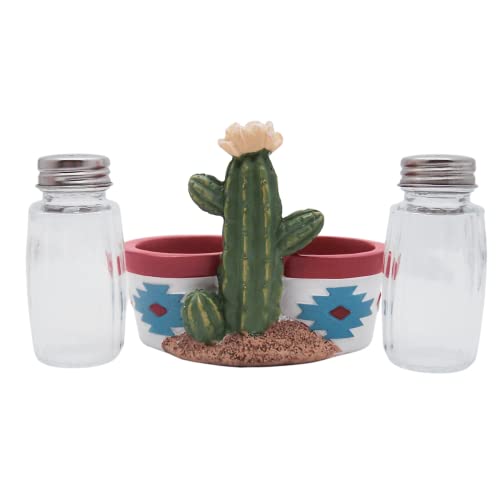 Salt and Pepper Set Holder with a Cactus Pot Design, Southwestern Décor, Shakers Included, 4.5 Inches