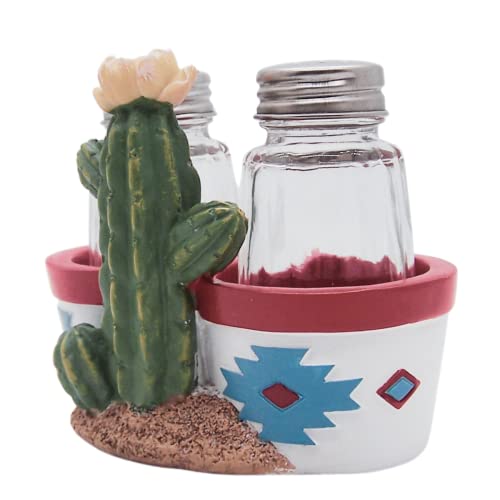 Salt and Pepper Set Holder with a Cactus Pot Design, Southwestern Décor, Shakers Included, 4.5 Inches