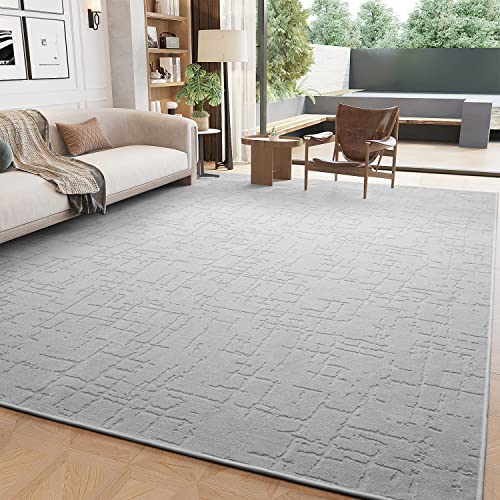 Area Rug-5x7 Rug for Living Room Contemporary Durable Carpet-Washable Rug Suitable for Living Room Bedroom Dinning Room Laundry Room Study Room